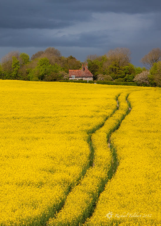 Michael Morgan RI | Focused Moments