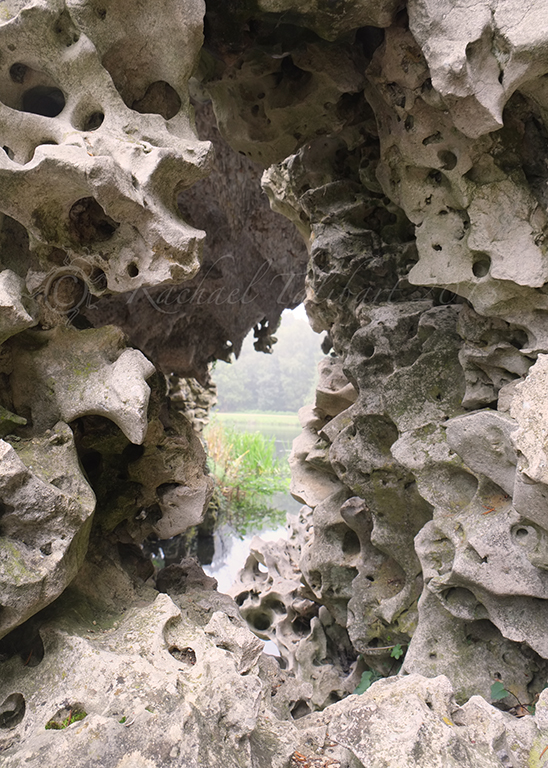 landscape garden | Focused Moments