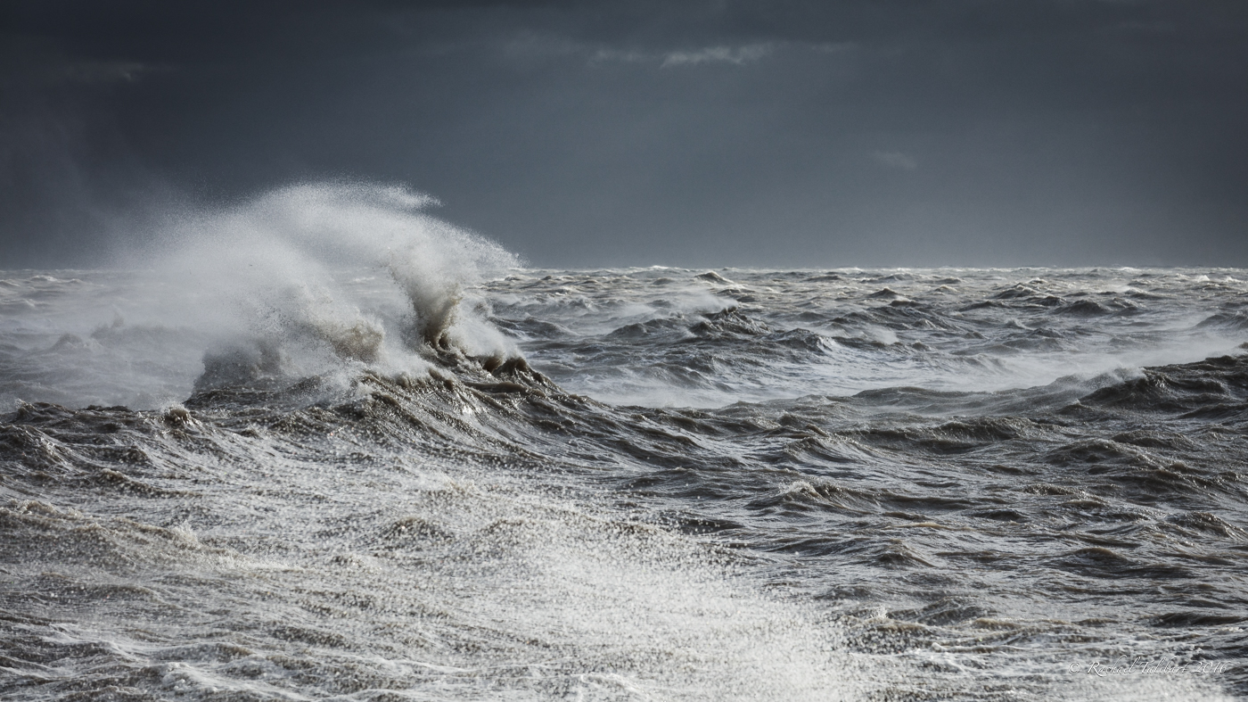 Wave monsters | Focused Moments