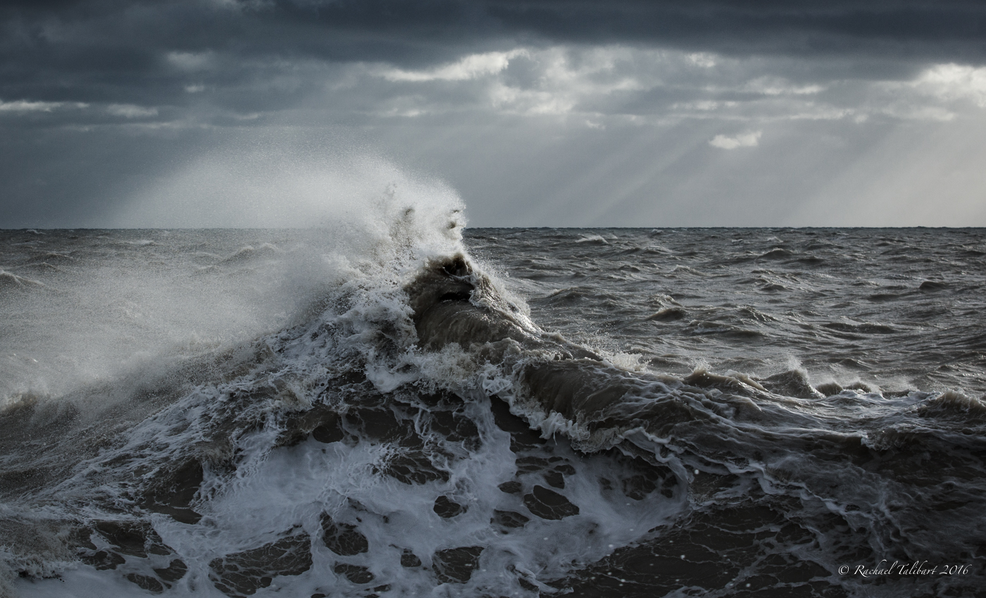 Wave monsters | Focused Moments